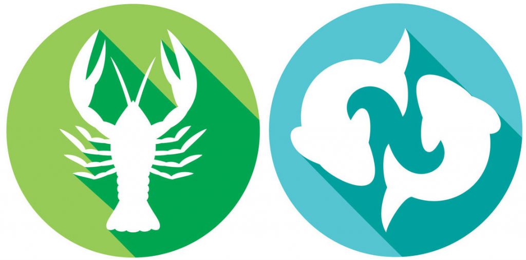 Cancer ascendant Poisson - Alf.fr